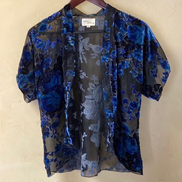 wild & whimsy | Shirts & Tops | Sz L Wild Whimsy Velvet Rose Sheer ...